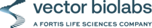 Vector Biolabs: Custom AAV & Adenovirus Vector Design