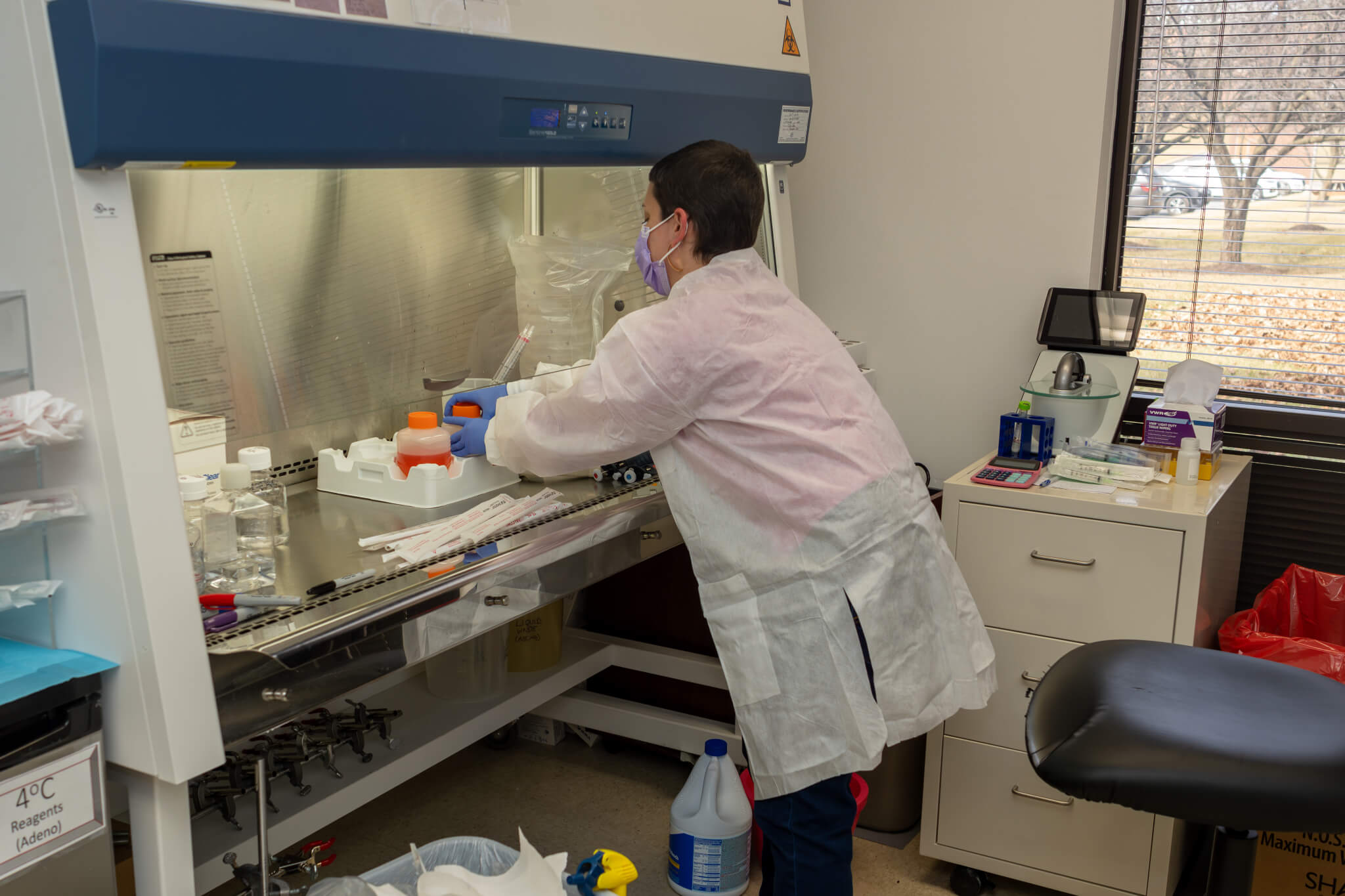 Vector Biolabs: Custom AAV & Adenovirus Vector Design