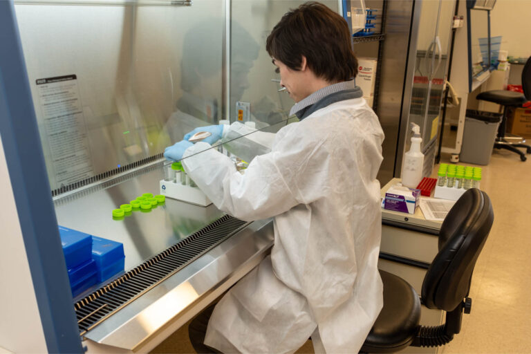 Vector Biolabs: Custom AAV & Adenovirus Vector Design