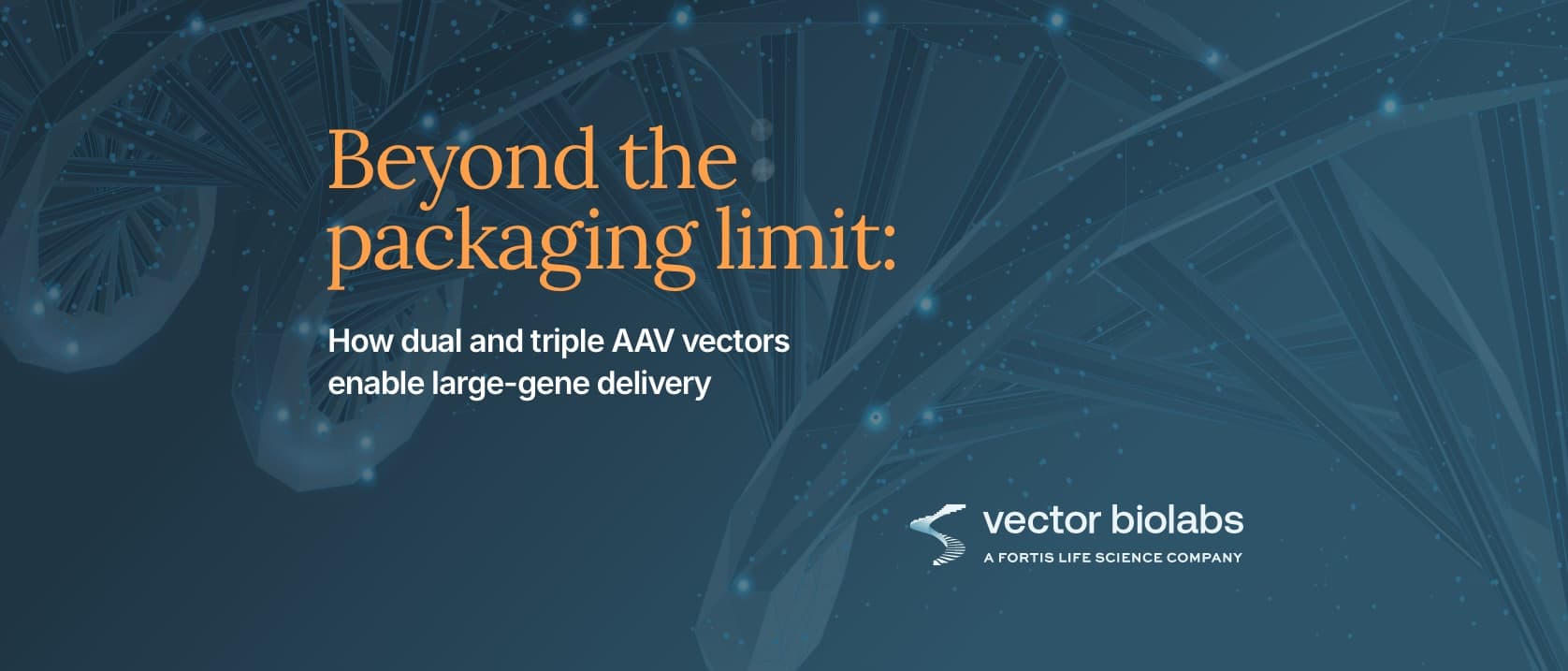 Overcoming AAV cargo limits: Dual AAV and triple vector strategies in ...